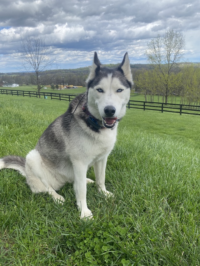 Refining Community | » Women in Refining: Marie Wright